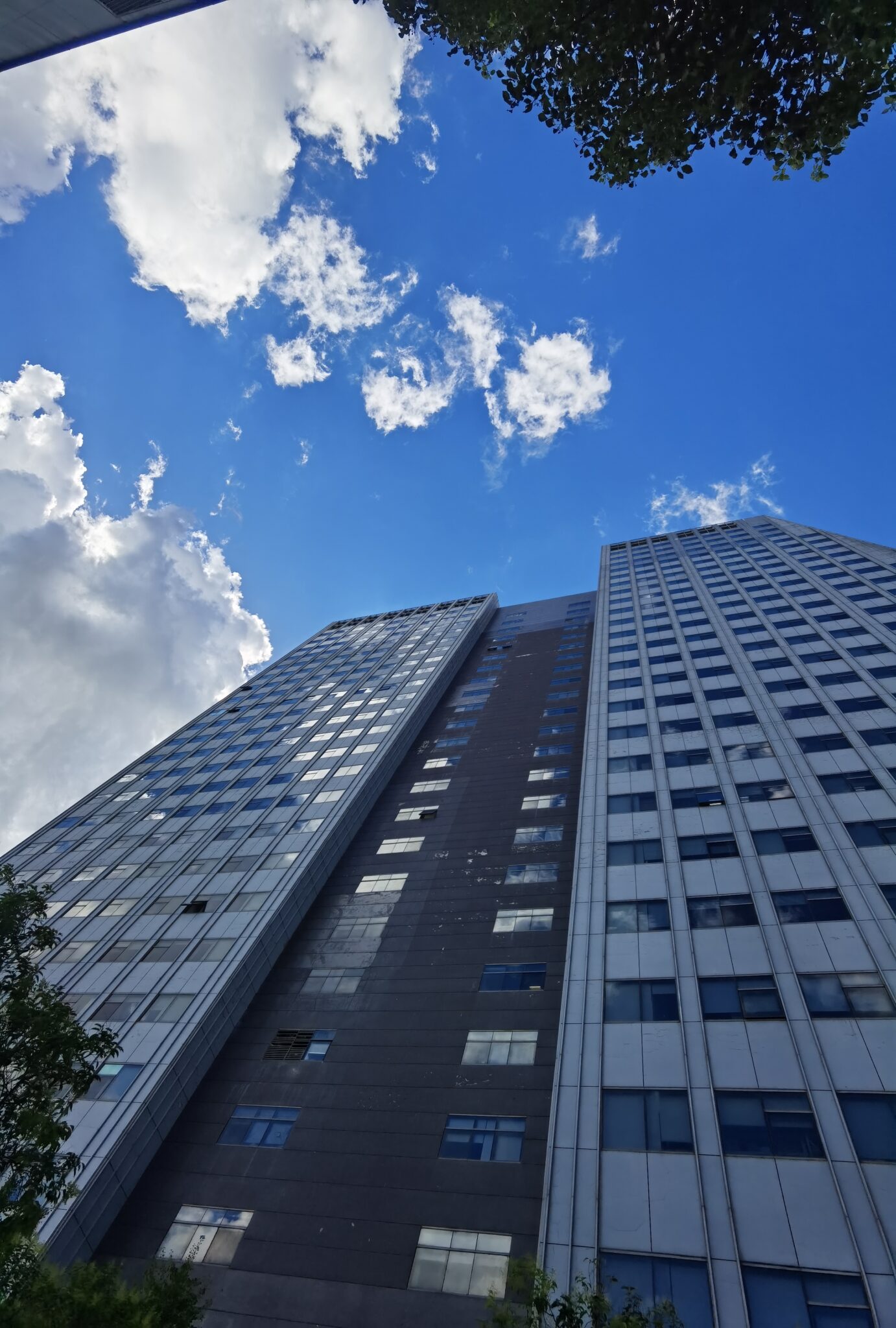 纳芯微SoC（NSUC1610）在汽车电子执行器中的应用 | NSUC1610,小型电机驱动芯片,纳芯微,SoC 产品线, NOVOSENSE, 方案, 汽车电子 上海丰宝电子